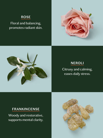 Daily Moisturizing Lotion Bar | Daily Stone - Kate McLeod